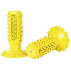 Cina Professional Manufacturer Supply Classical Tpr Dog Squeaky Sounding Toothbrush Dog Interactive Toy in vendita