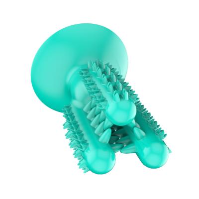 Cina High Quality Dog Chew Toys Cactus Shape Dog Toothbrush Pet Suction Cup Toys For Pet in vendita