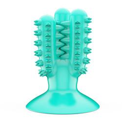 Cina High Quality Dog Chew Toys Cactus Shape Dog Toothbrush Pet Suction Cup Toys For Pet in vendita