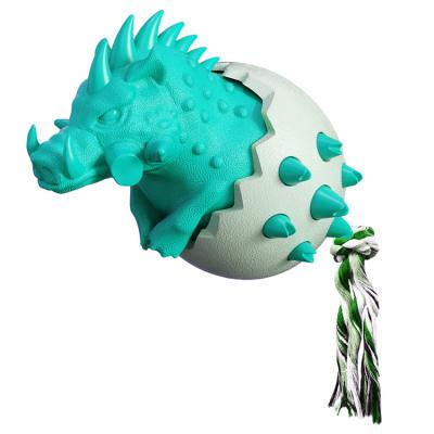 Cina Most Popular High Quality Bite-resistant Star Pet Dog Cooling Pet Training Clean Teeth Chew Dog Toy in vendita