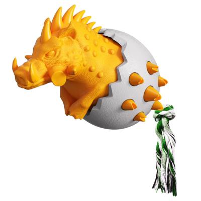 Cina Most Popular High Quality Bite-resistant Star Pet Dog Cooling Pet Training Clean Teeth Chew Dog Toy in vendita