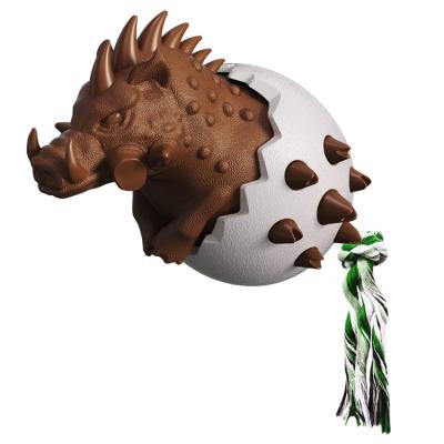 Cina Most Popular High Quality Bite-resistant Star Pet Dog Cooling Pet Training Clean Teeth Chew Dog Toy in vendita