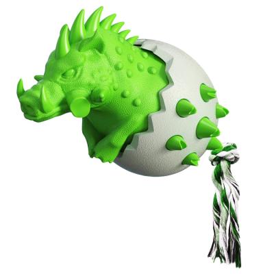 Cina Most Popular High Quality Bite-resistant Star Pet Dog Cooling Pet Training Clean Teeth Chew Dog Toy in vendita