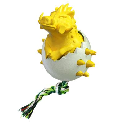 Cina Most Popular High Quality Bite-resistant Star Pet Dog Cooling Pet Training Clean Teeth Chew Dog Toy in vendita