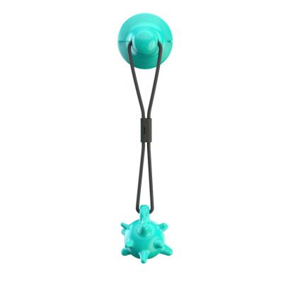 Cina Outdoor Pet Multi Functional Chew Training Interactive Sticks Toys Dog Molar in vendita