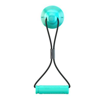 Cina Outdoor Pet Multi Functional Chew Training Interactive Sticks Toys Dog Molar in vendita