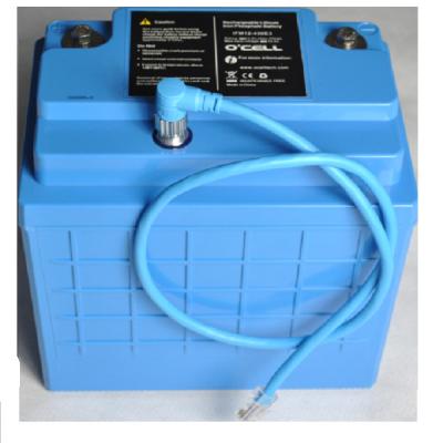 China Lithium Electrical Car Battery 12.8V 45AH Deep Circle Energy Storage System for sale