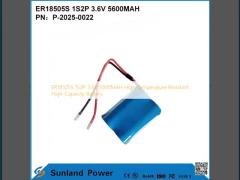 ER18505S 1S2P 3,6V 5600MAH Hochtemperaturfester Hochleistungs-Akku