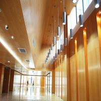 Quality Spraying Coating Brushed Aluminium Tiles 1.2mm Adhesive Suspended Ceiling Panel for sale