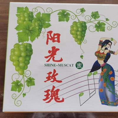 Cina Scatole di imballaggio in cartone ad alta resistenza, fabbrica specializzata, cartone ondulato personalizzato in vendita