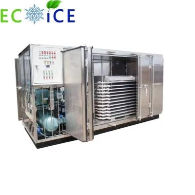 China Precision Freezing Technology for Seafood Testing Samples and Quality Control Applications Contact Plate Freezer for sale