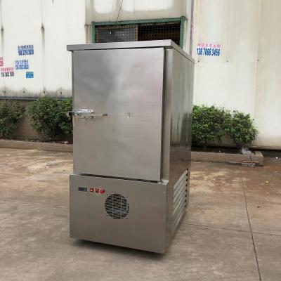 China congelador de ráfaga de las bandejas ss304 de la baja temperatura 10 del ltra en venta