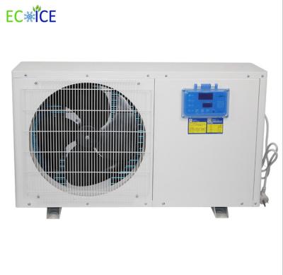 China Aquarium 2HP Aquarium Sea Water Chiller for Living Fish, Fish Market for water cooling with low price for sale