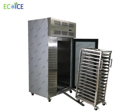 China Congelador de ráfaga de alta calidad para el refrigerador de aire batido del congelador de /Blast del pollo en venta