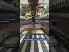 Automatic Cut To Length Production Line With High Performance Leveler