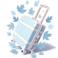 China Pastel Belted Retro Suitcase for sale