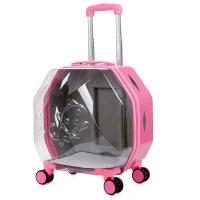 China Anti-Theft Clear Pet Carrier Portable Pet Holder Waterproof Travel Suitcase Polyester Lining Material Breathable Pet Carry for sale