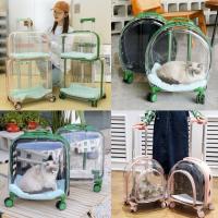 China Anti-Theft Clear Pet Carrier Portable Pet Holder Waterproof Travel Suitcase Polyester Lining Material Breathable Pet Carry for sale