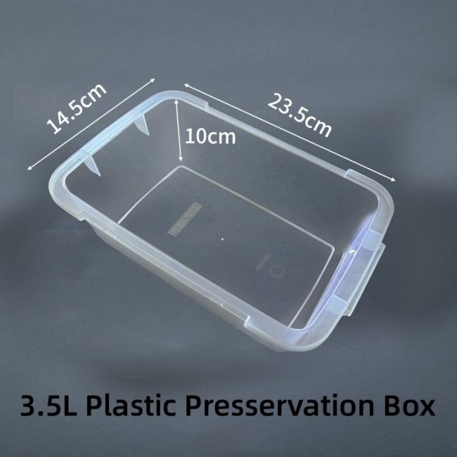 Seal Plastic Preservation Box Refrigerator Clear Plastic Vegetable and Fruit Storage Box