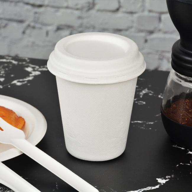8oz/ 10oz Food Grade Biodegradable Container Disposable Bagasse Cup