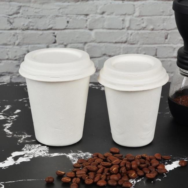 8oz/ 10oz Food Grade Biodegradable Container Disposable Bagasse Cup