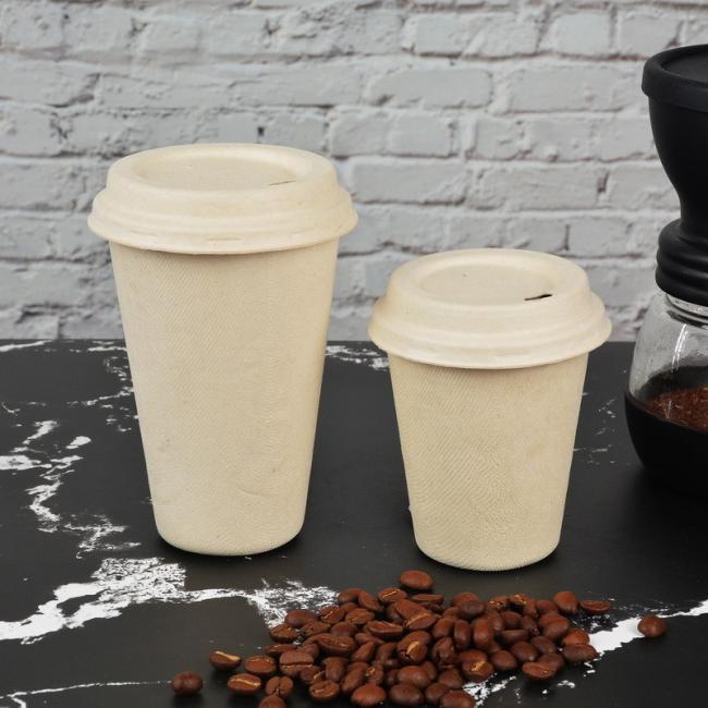 8oz/ 10oz Food Grade Biodegradable Container Disposable Bagasse Cup