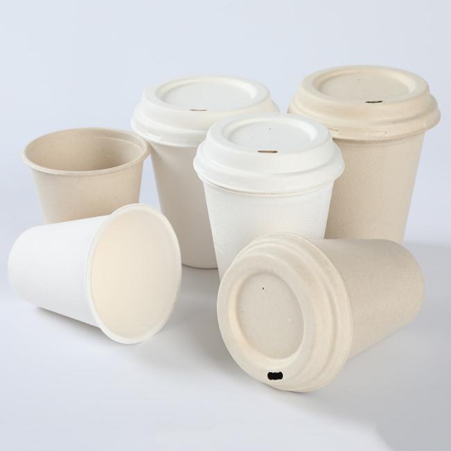8oz/ 10oz Food Grade Biodegradable Container Disposable Bagasse Cup