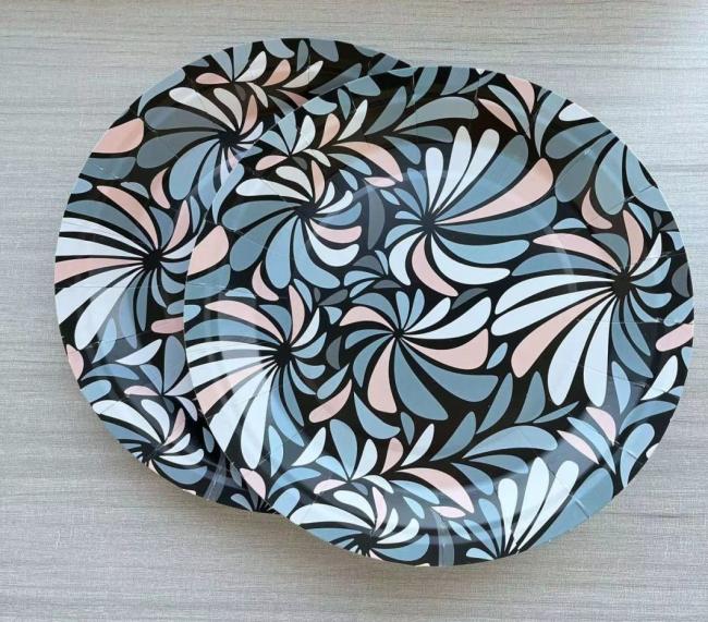 Disposable Plates Party Plates Birthday Party Tableware Plates Party Favours 7inch Customizable