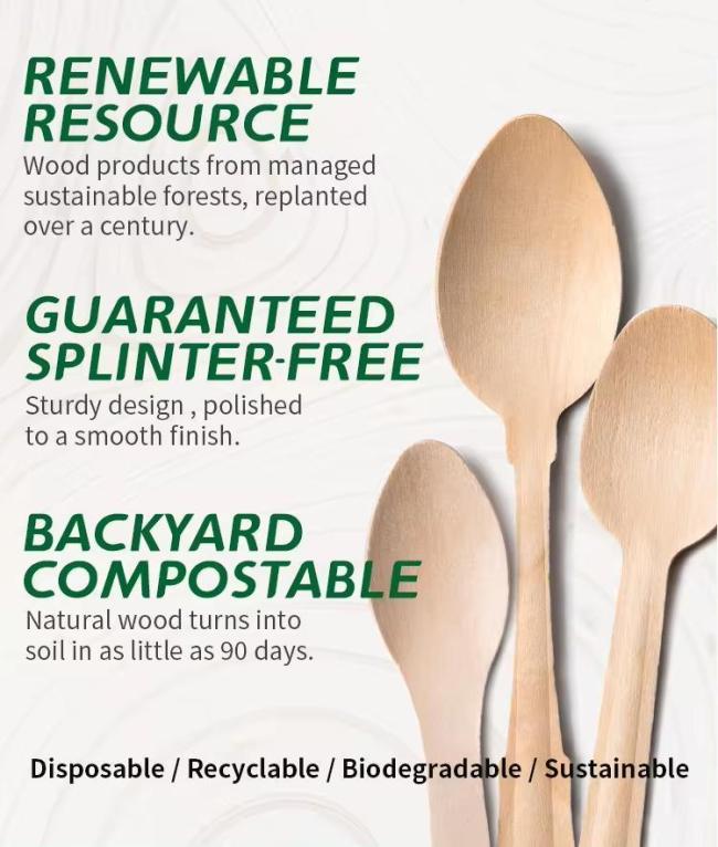 Eco-Friendly Degradable Wholesale Factory Price Free Sample Disposable Wooden Spoon