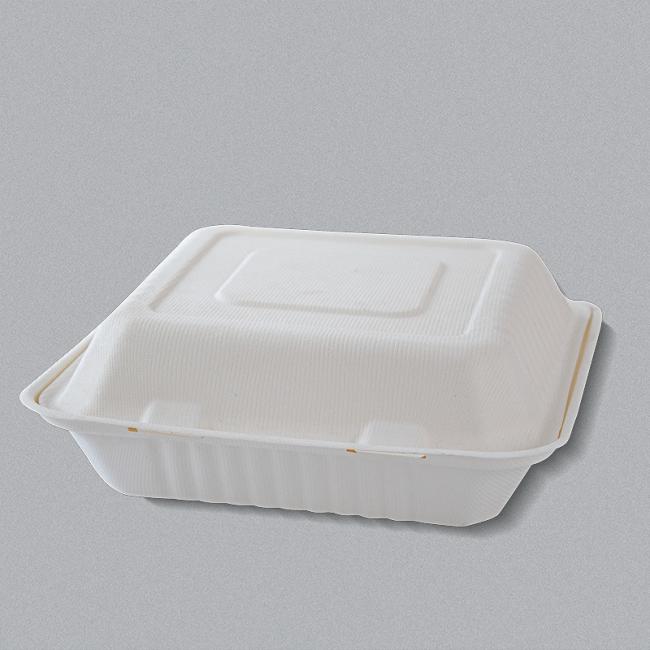 Eco Biodegradable Disposable Tableware Take Away Fast Food Compostable Disposable Container