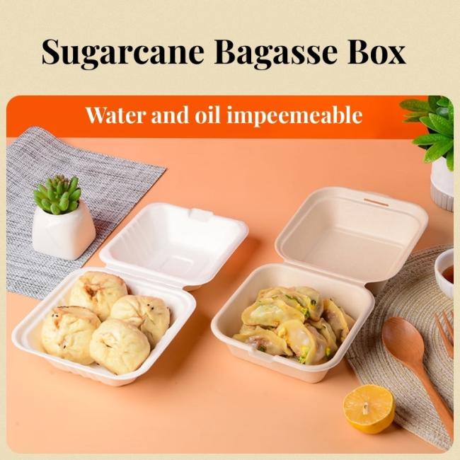 High Quality Sugarcane Bagasse Burger Box Food Container