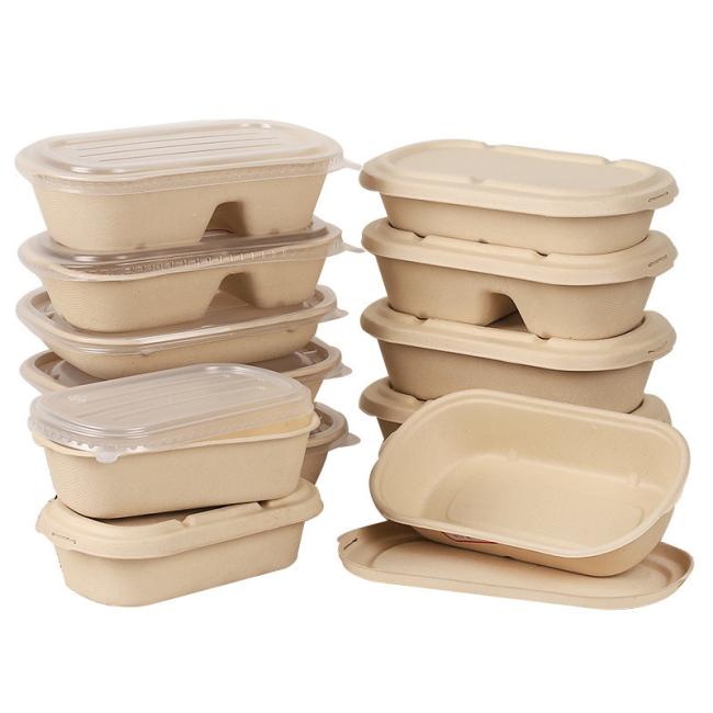 Degradable Sugarcane Bagasse Disposable Tableware Food Container with Lid