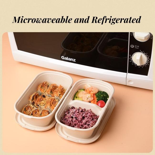 Degradable Sugarcane Bagasse Disposable Tableware Food Container with Lid