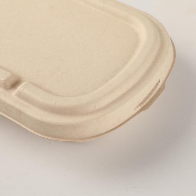Degradable Sugarcane Bagasse Disposable Tableware Food Container with Lid