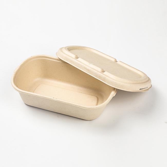 Degradable Sugarcane Bagasse Disposable Tableware Food Container with Lid