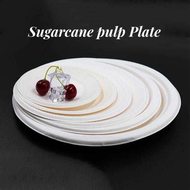 Biodegradable Sugarcane Bagasse Tableware Plate Carry-out Tableware