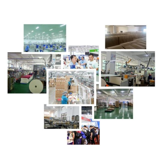 Biodegradable Sugarcane Bagasse Tableware Plate Carry-out Tableware