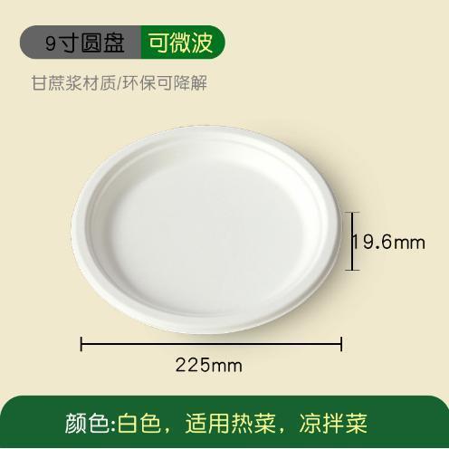 Natural Sugarcane Bagasse Paper Plates Dishes Compostable 100% Biodegradable Plates
