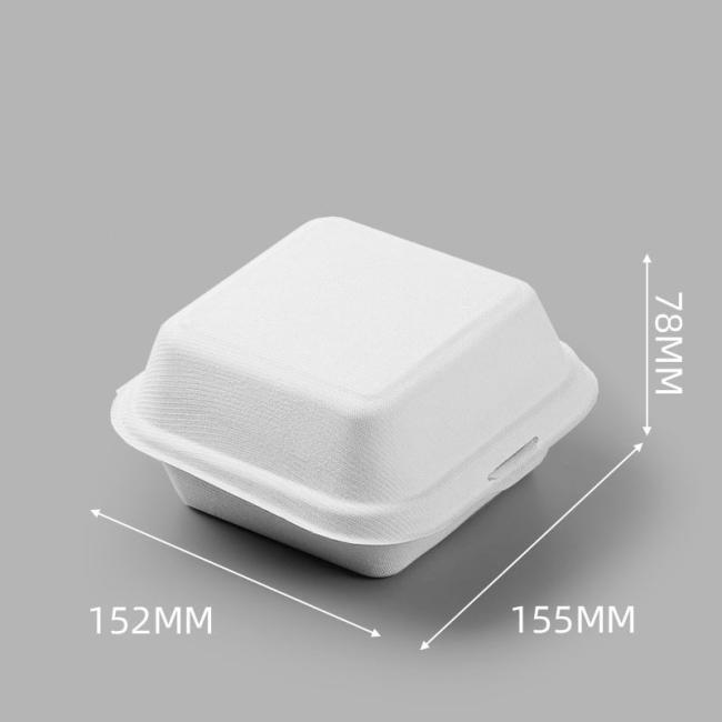 Hamburg Lunch Box, Biodegradable Hand Drawn Cake Roll, Sugarcane Bagasse Burger Box