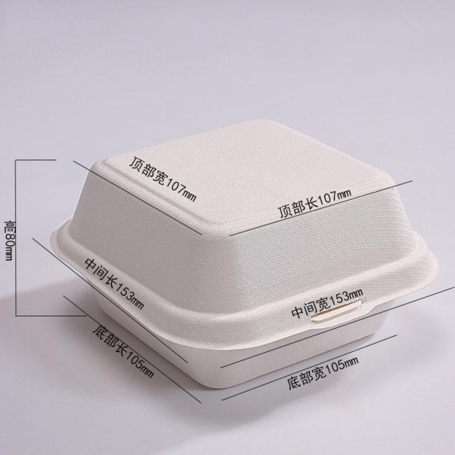 Hamburg Lunch Box, Biodegradable Hand Drawn Cake Roll, Sugarcane Bagasse Burger Box