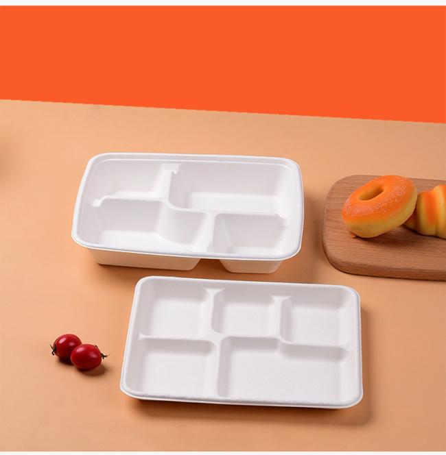 Biodegradable Disposable Pulp Tableware Packaging Single and Double Grid Lunch Box