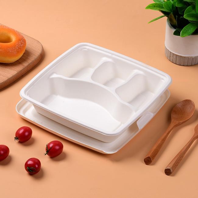 Biodegradable Disposable Pulp Tableware Packaging Single and Double Grid Lunch Box