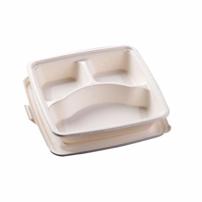 Biodegradable Disposable Pulp Tableware Packaging Single and Double Grid Lunch Box