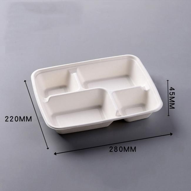 Biodegradable Disposable Pulp Tableware Packaging Single and Double Grid Lunch Box