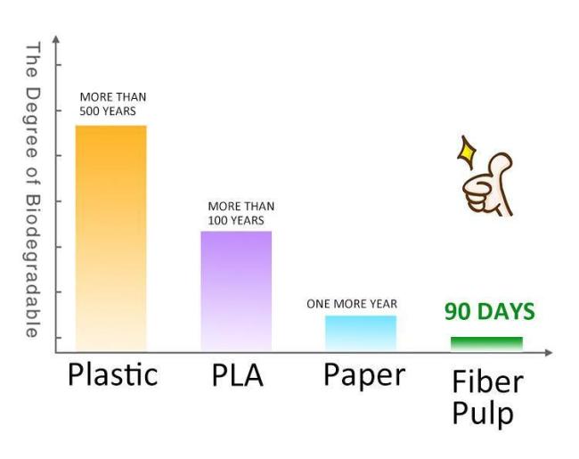 Biodegradable Disposable Food Container Bagasse Pulp Salad Bowl
