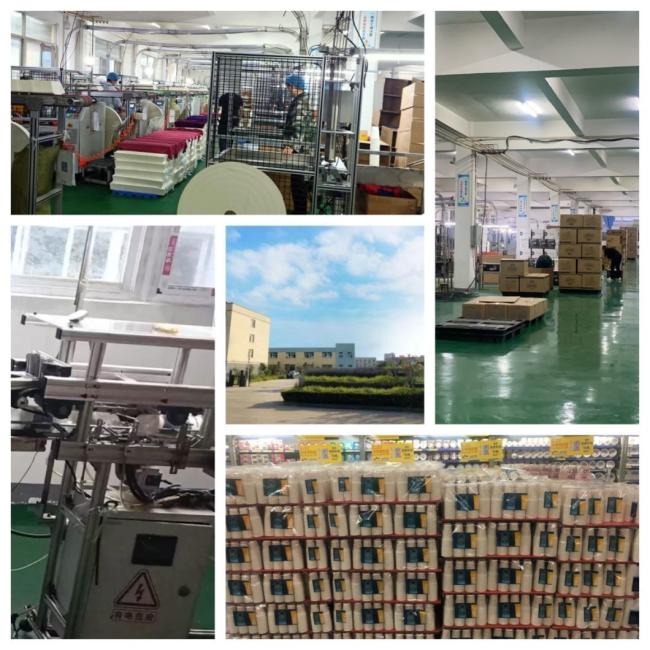 Wholesale Factory Price Luxury Eco-Friendly Paper Carrier Bag Paper Shopping Bag Gift Packaging Bag