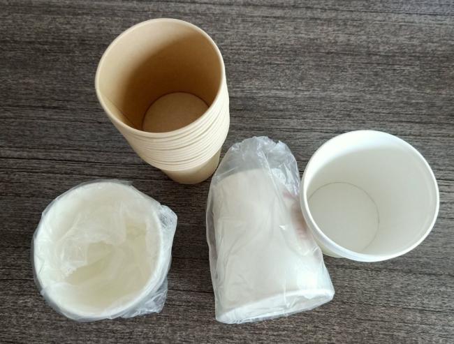Factory Supply Good Quality Different Size and Various Usage Plastic Cover for Homeware PE Cover