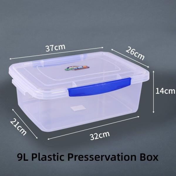 Quality Double Corrugated Paper Cup OEM Plastic Containers Boxes for Refrigerated for sale