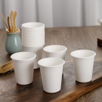 China Customized Biodegradable Sugarcane Bagasse Coffee Cups 73mm x 50mm for Hot or Cold Drinks for sale