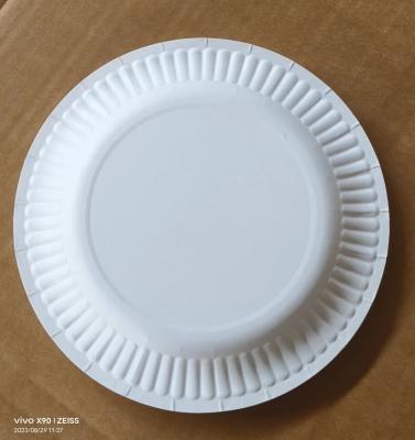 Chine 47.00cm * 33.00cm * 31.50cm Eco-friendly 9 pouces de bagasse de canne à sucre plaque ronde jetable à vendre